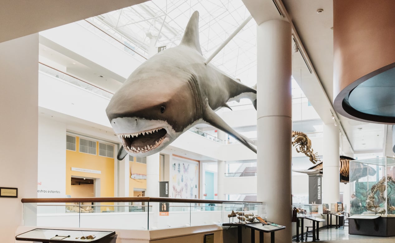 20 Fun Indoor Activities to Try When it Rains in San Diego