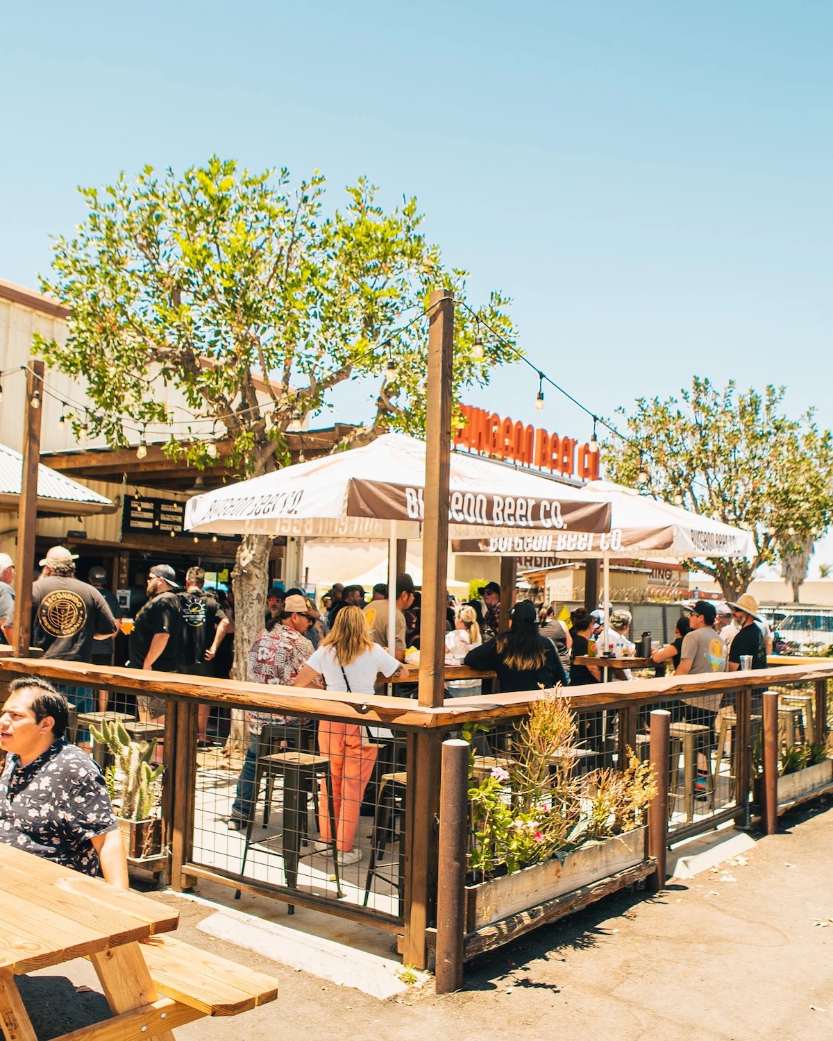 First Look: Burgeon at the Grove Opens in Vista Opens in Vista | San ...