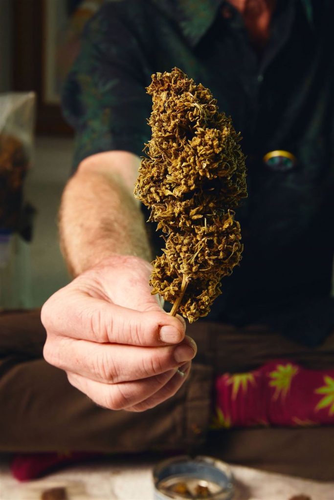 Inside San Diego's Rarest Weed Collection | San Diego Magazine