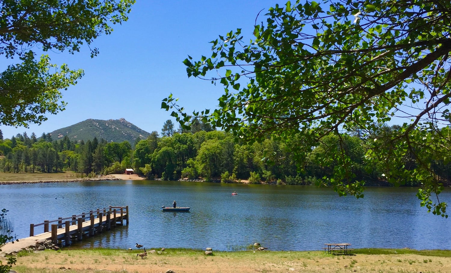 10 of the Best Spots to Go Camping in San Diego | San Diego Magazine