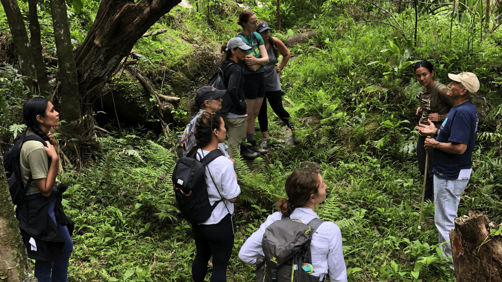 Securing the Future of Kauai's Native Flora | San Diego Magazine