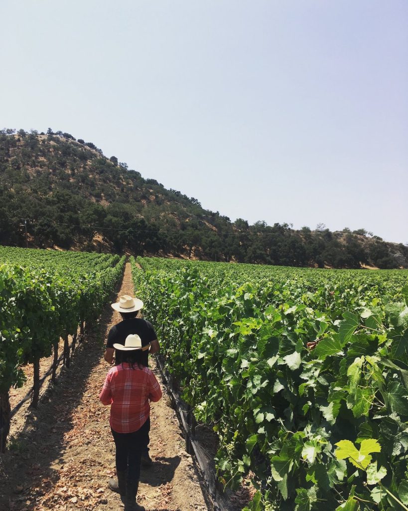 J. Brix Wines Opening First Tasting Room This Fall | San Diego Magazine
