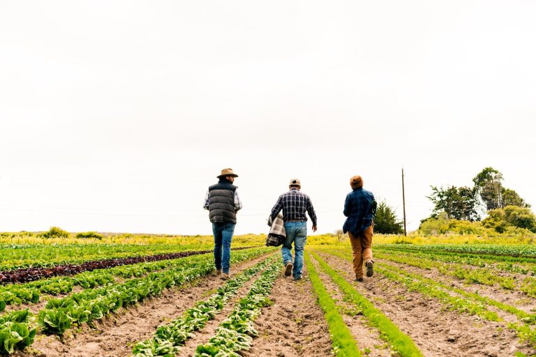 CA Nonprofit Fights Climate Change with Regenerative Farming | San ...