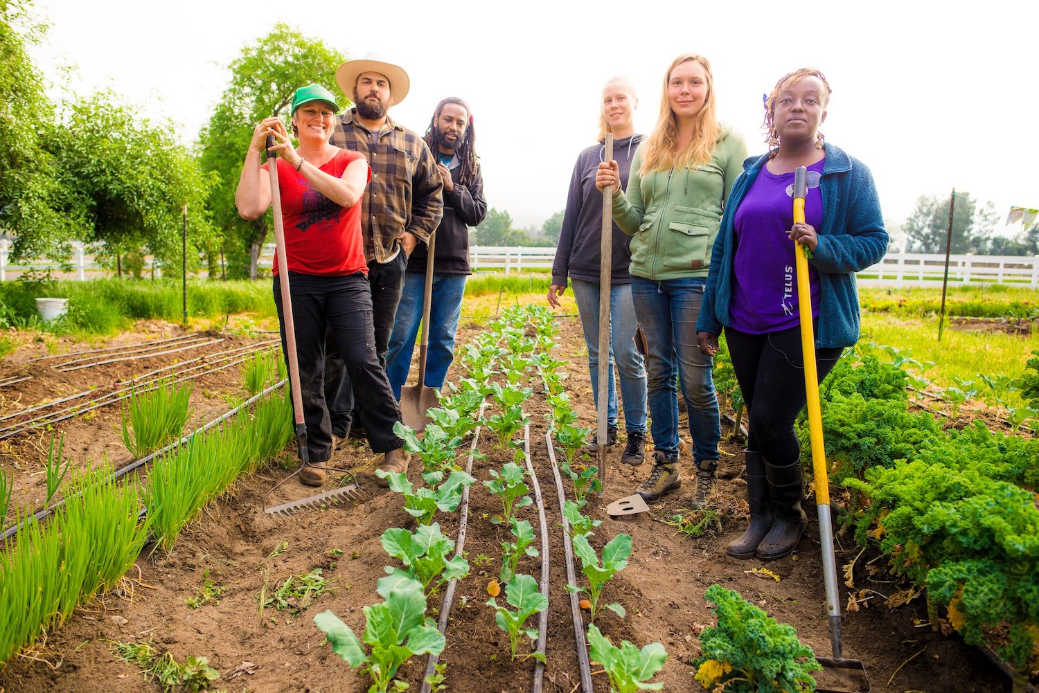 CA Nonprofit Fights Climate Change with Regenerative Farming | San ...