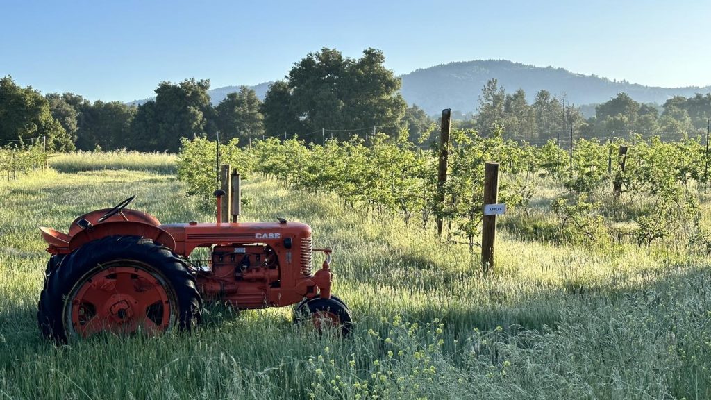 The Best Pumpkin Patches in San Diego 2024 | San Diego Magazine