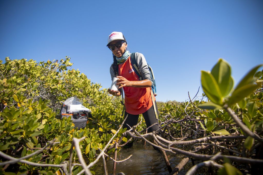 The Ocean Conservation Group Fighting to Protect Our Coastlines | San ...