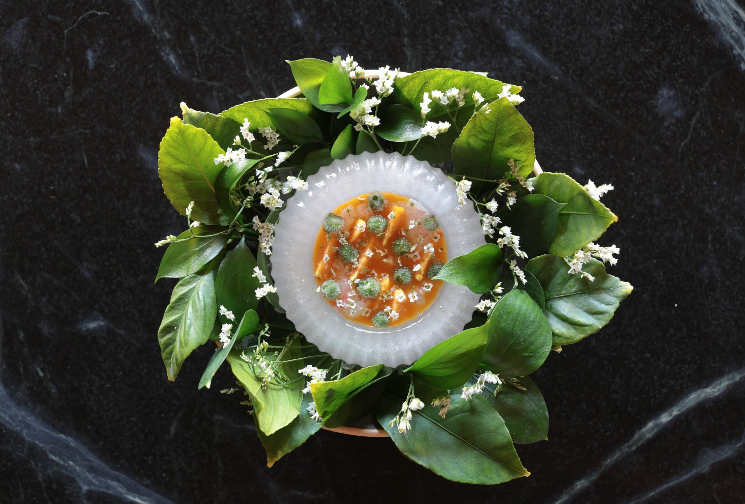 Lilo Restaurant Opens in Carlsbad This April | San Diego Magazine