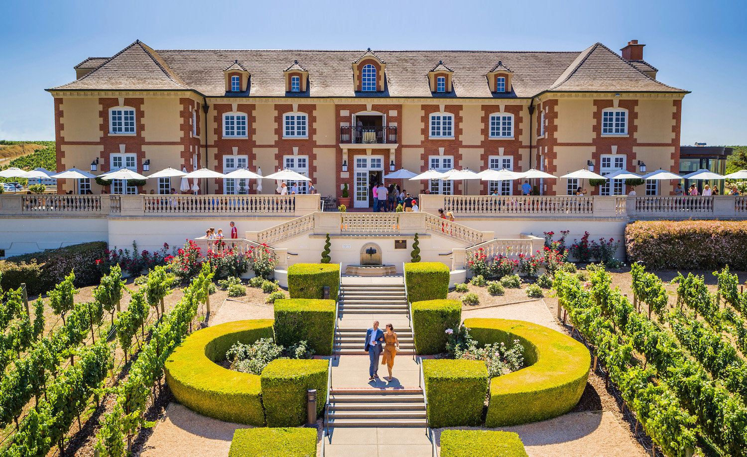 6 Top Wine Regions in California to Visit in 2025 | San Diego Magazine