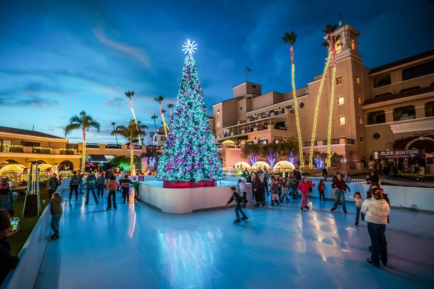 11 Fun Things to Do in San Diego This Month: December 2025